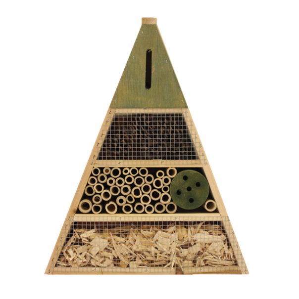 Insect House Triangle → Holt Hall Apiary